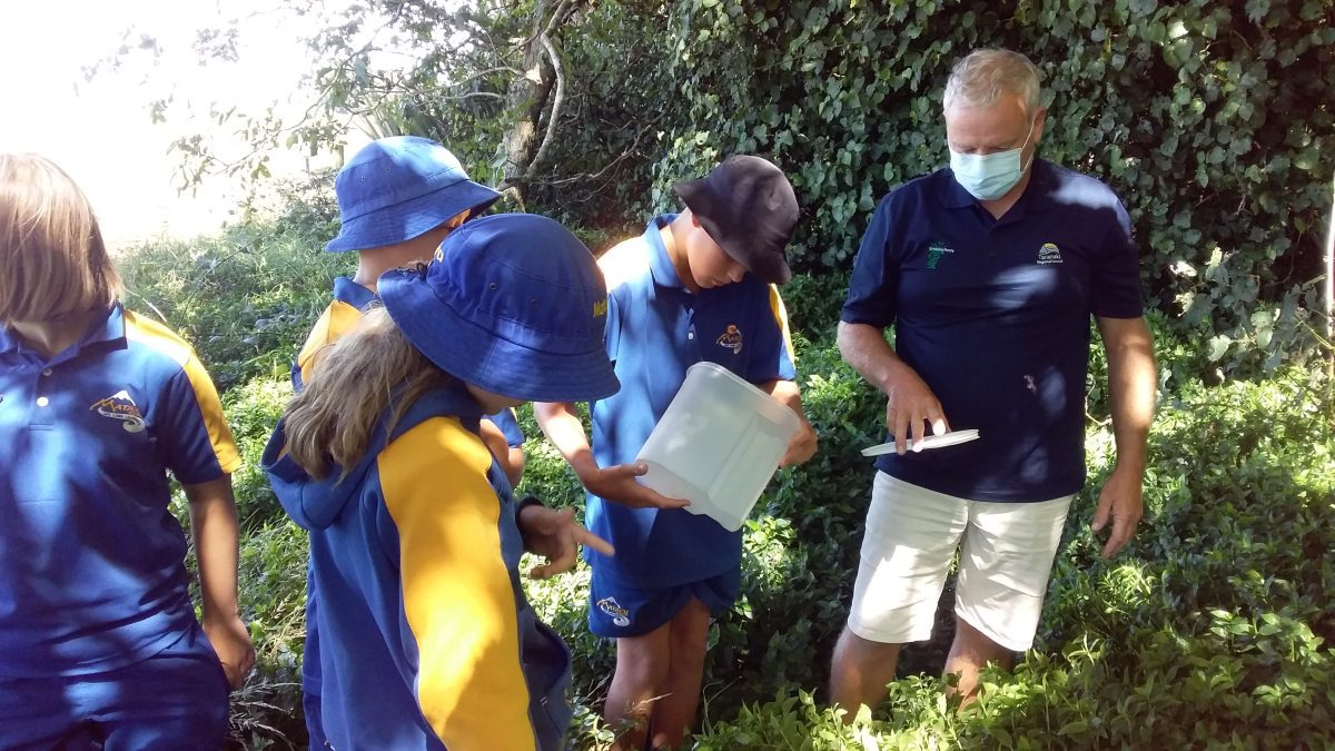 Matapu School and the Taranaki Regional Council release Tradescantia ...