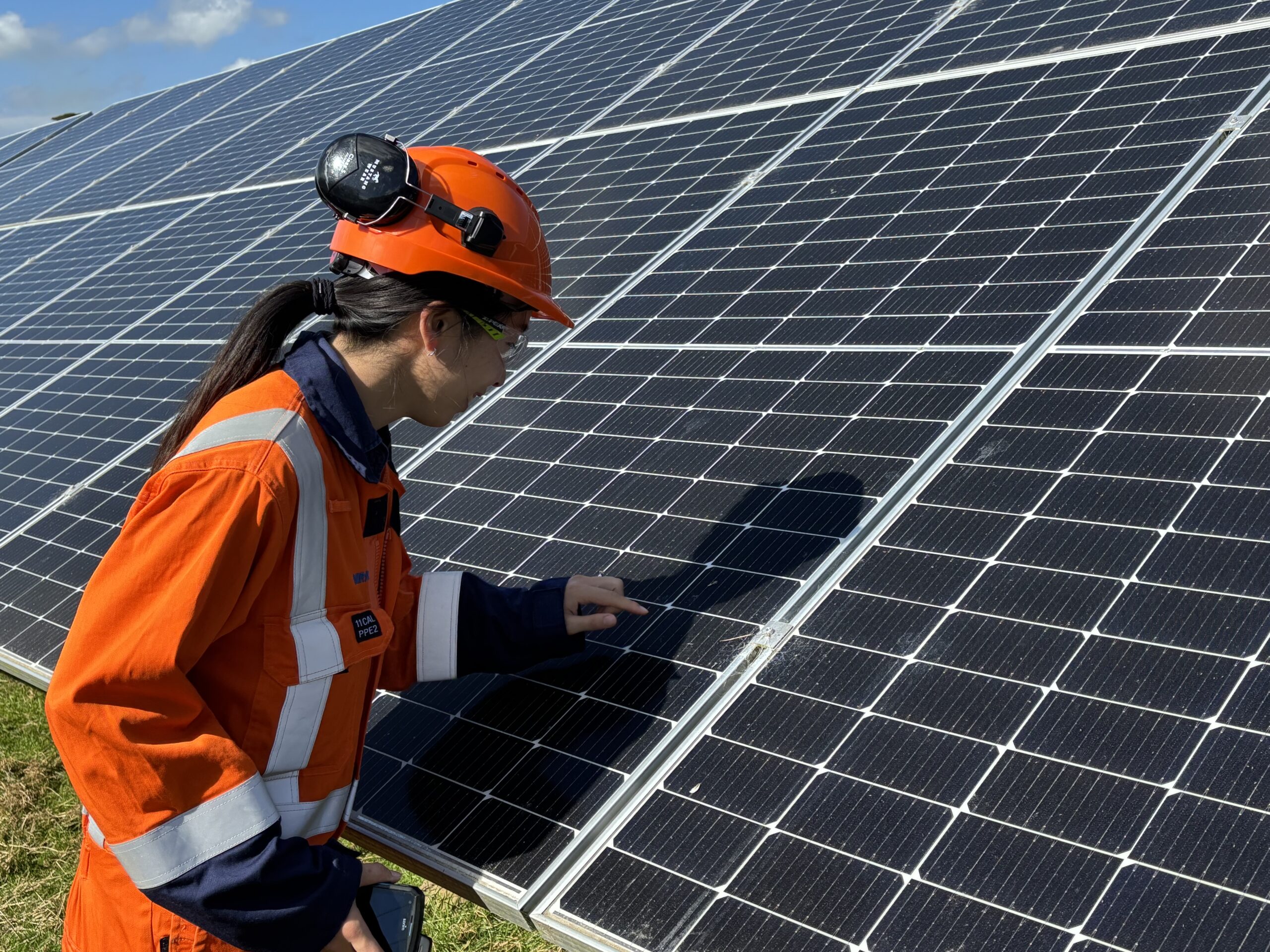 Pathways to Sustainability – Todd’s 2024 Journey | Todd Energy